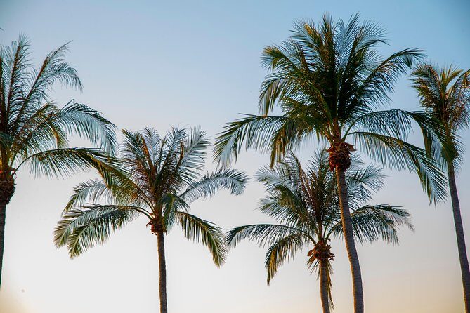 Darwin City Sightseeing Tour - What’s on the Itinerary?