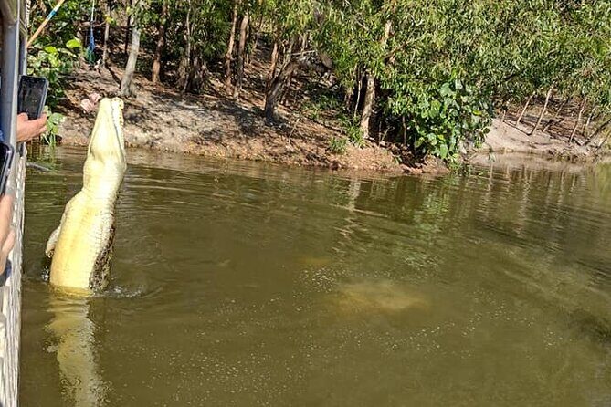 Darwin City Tour + Crocodile Cruise+Lunch Optional - Discover the Best of Darwin in a Compact Tour