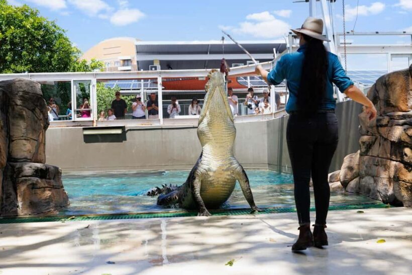 Darwin: Crocosaurus Cove and RFDS Entry - Key Points