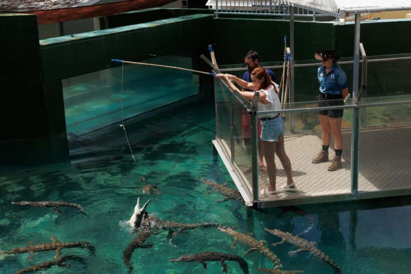 Darwin: Crocosaurus Cove and RFDS Entry - Final Thoughts: Is This Experience Right for You?