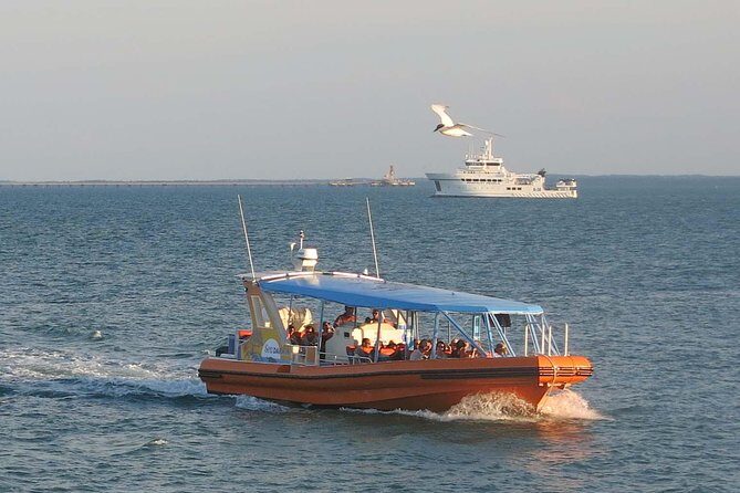 Darwin Distilled Land and Sea Story Tour - Who Will Love This Tour?