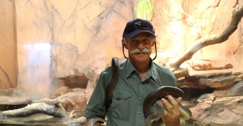 Darwin: Hop-On Hop-Off Bus, Crocosaurus Cove and RFDS Entry - The Bus Tour: A Convenient Way to See Darwin
