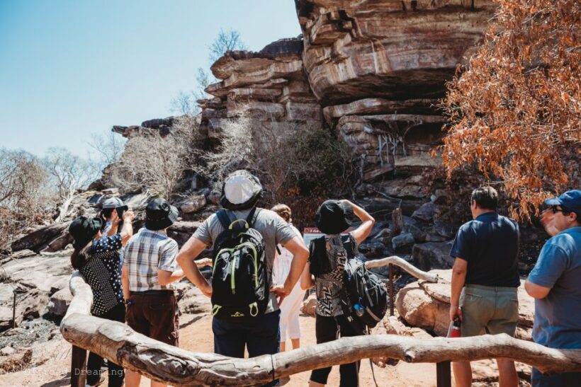 Darwin: Kakadu National Park Day Tour with Lunch - Key Points
