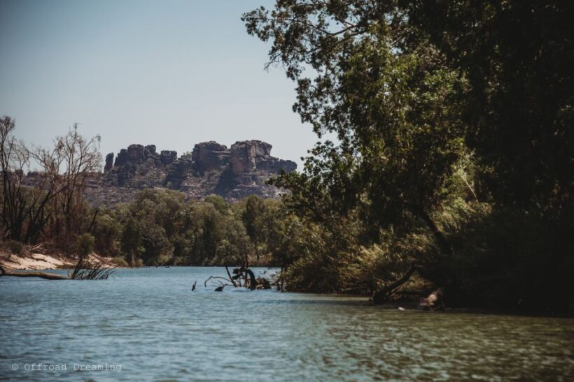 Darwin: Kakadu National Park Day Tour with Lunch - An In-Depth Look at the Tour Experience