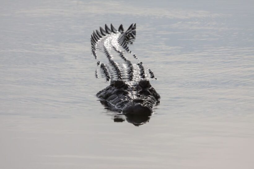 Darwin: Kakadu National Park Day Trip - Final Thoughts: Is It Worth It?