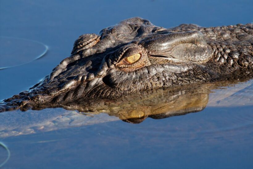 Darwin: Kakadu National Park Day Trip - FAQ