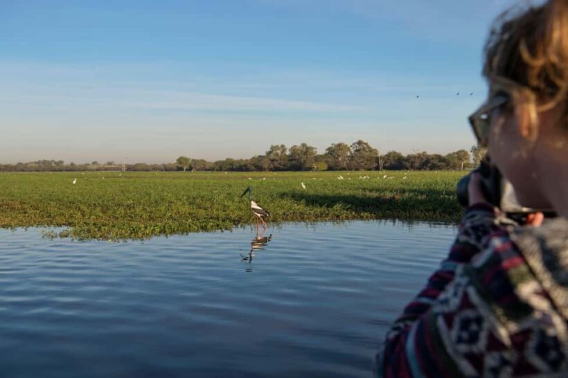 Darwin: Kakadu National Park, Yellow Water River Cruise - Final Thoughts