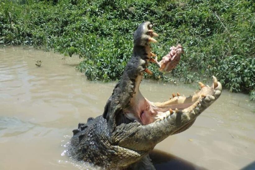 Darwin: Litchfield, Crocodile Cruise and Sunset Tour - Who Should Consider This Tour?
