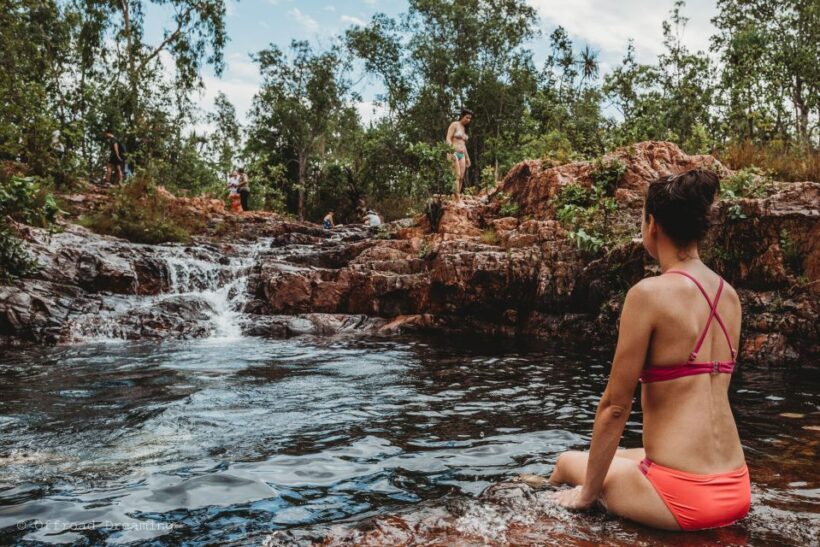 Darwin: Litchfield Day Tour and Private Crocodile Cruise - A Deep Dive into the Litchfield & Crocodile Experience