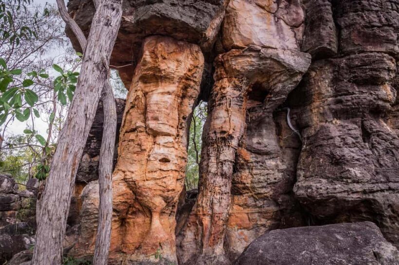 Darwin: Litchfield Park Sub-Tropical Escape - A Private tour - Key Points