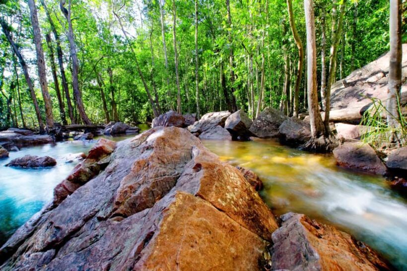 Darwin: Litchfield Park Sub-Tropical Escape - A Private tour - Practical Details and What to Expect