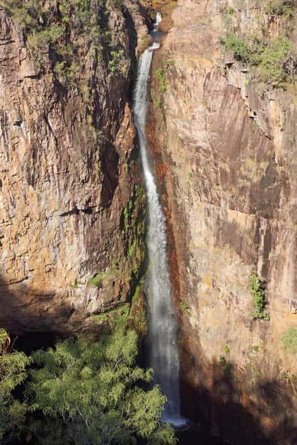 Darwin: Litchfield Park Sub-Tropical Escape - A Private tour - Why This Tour Is a Great Fit