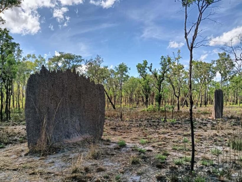 Darwin: Litchfield Park Sub-Tropical Escape - A Private tour - FAQ
