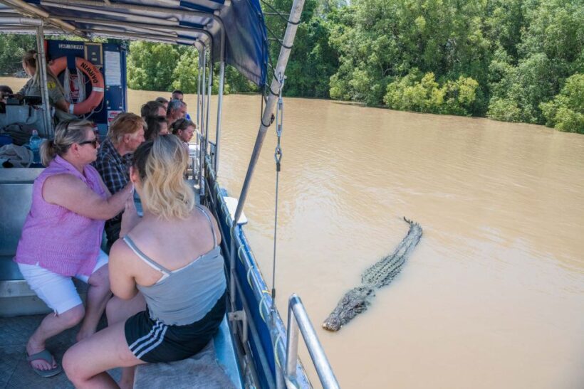 Darwin: Spectacular Jumping Crocodile Adelaide River Cruise - What to Expect on the Crocodile Cruise