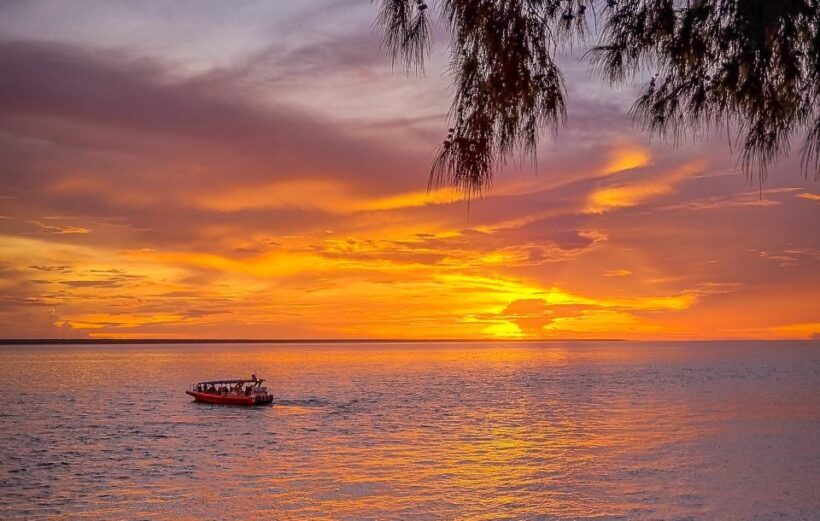 Darwin: Sunset Harbour Cruise with Fish and Chips Dinner - An Introduction to the Experience