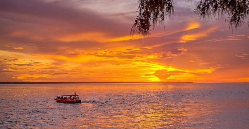 Darwin: Sunset Harbour Cruise with Fish and Chips Dinner - Detailed Breakdown of the Itinerary