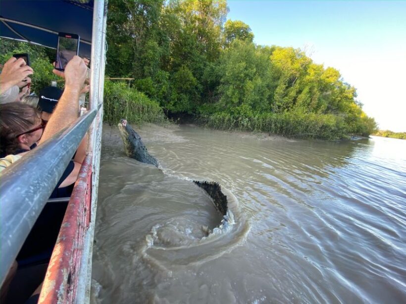 Darwin: The Croc Bus to the Famous Jumping Crocodile Cruise - The Sum Up