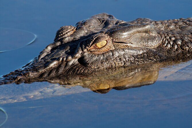 Darwin to Kakadu Day Trip by Air Including Yellow Water Cruise - What Travelers Can Expect: From Booking to End