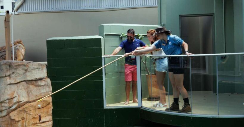 Darwin: VIP Crocosaurus Cove Experience - The Sum Up: Who Will Appreciate This Tour?