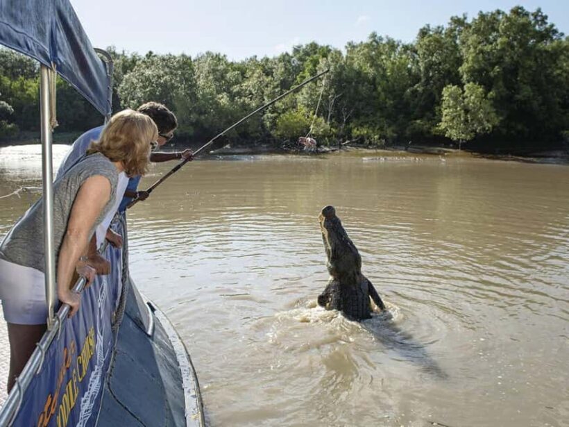 Darwin6 Day Darwin Tour Package - Introduction: A Well-Rounded Northern Australian Adventure