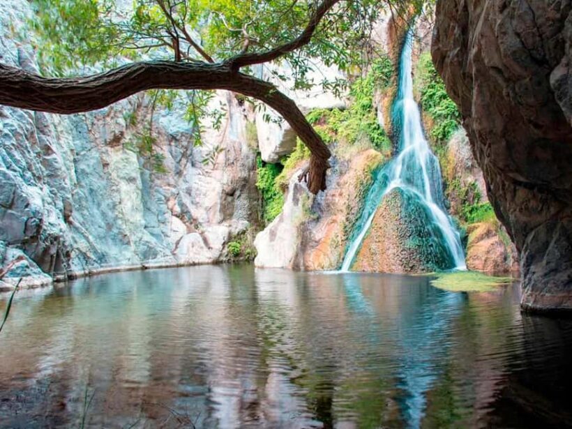 Darwin6 Day Darwin Tour Package - Final Thoughts