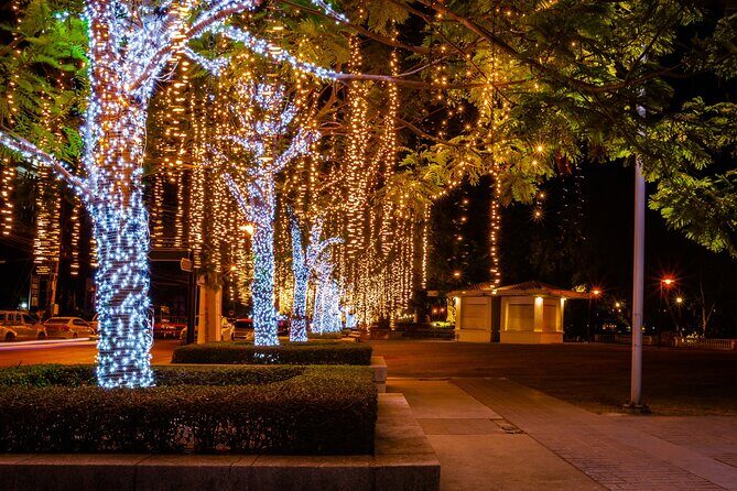 Darwins Christmas Charm Festive Walking Tour - An In-Depth Look at the Tour Itinerary