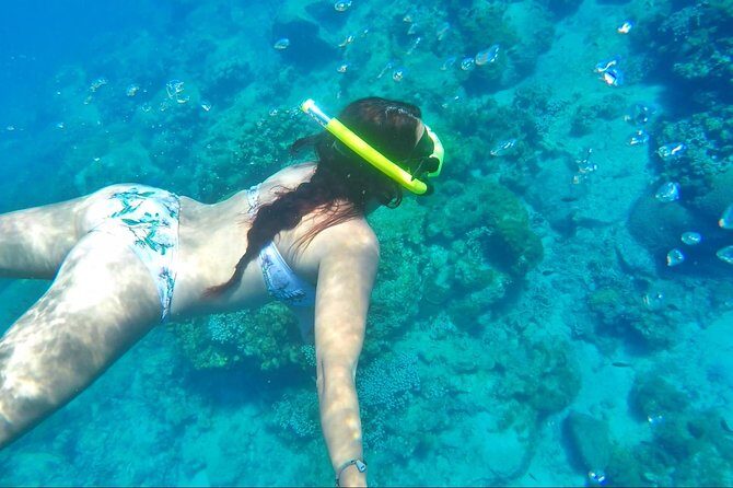 Dash and Splash Snorkel Adventure St Lucia - The Sum Up