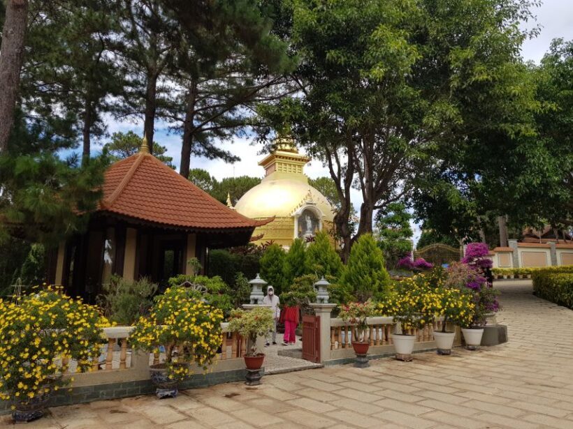 Datanla, Pongour, Elephant: 3 stunning and majestic falls - The Ultimate Guide to Your Dalat Day Tour Adventure