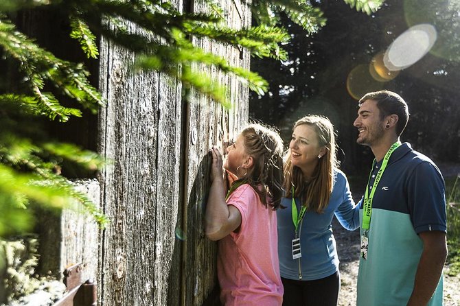 Davos Foxtrail Cuolm Strinau - What to Expect: The Itinerary and Highlights