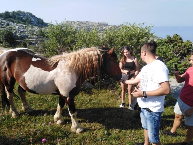 Dawn on the top of Biokovo - The Itinerary: What to Expect from Dawn to Dusk