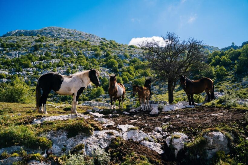 Dawn on the top of Biokovo - Practical Tips for a Great Experience