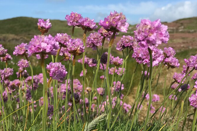 Dawn Pilgrimage and Swim in West Cork - Health and Accessibility Considerations