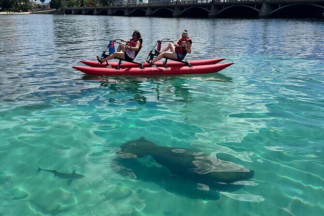 Day Adventure Chiliboats Waterbike  Condado Lagoon - What Is the Chiliboats Waterbike Tour?