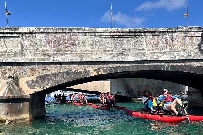 Day Adventure Chiliboats Waterbike  Condado Lagoon - Wildlife and Nature Encounters