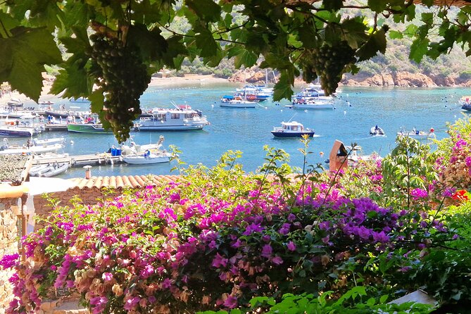 Day at Scandola and Calanques De Piana in a Small Group - Inclusions