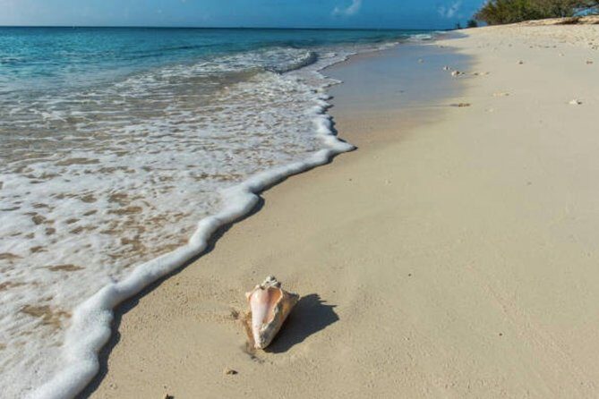 Day At The Beach With Lunch And Drinks for Cruise Guests - A Closer Look at the Experience