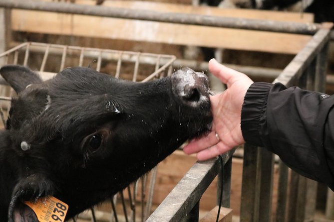 Day at the Farm - FAQ