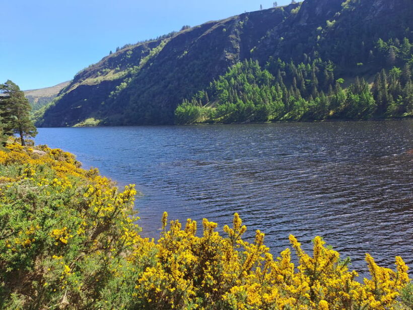 Day Car trip Explore Amazing County Wicklow , Dublin-Wicklow - Exploring Glendalough: A Monastic Marvel
