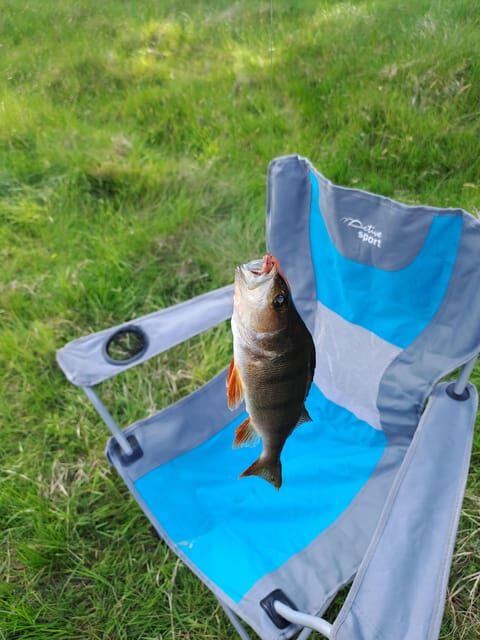 Day Car trip Explore Amazing County Wicklow , Dublin-Wicklow - What’s Included and What It Means for You