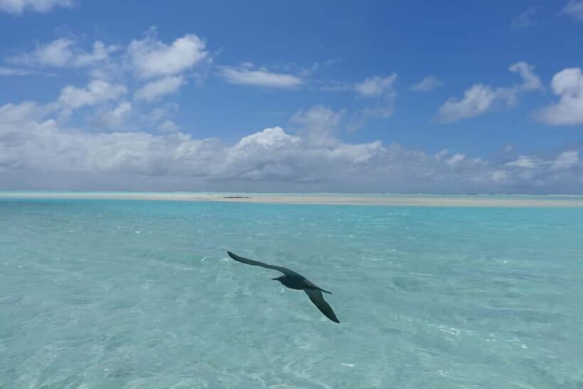 Day cruises to Tetiaroa - Key Points