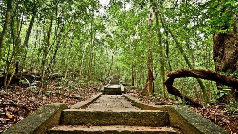 Day Excursion Sigiriya, Dambulla & Ritigala Archaeological - A Deep Dive into the Day Tour Experience