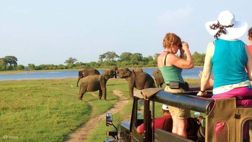 Day Excursion Sigiriya, Dambulla & Ritigala Archaeological - FAQ