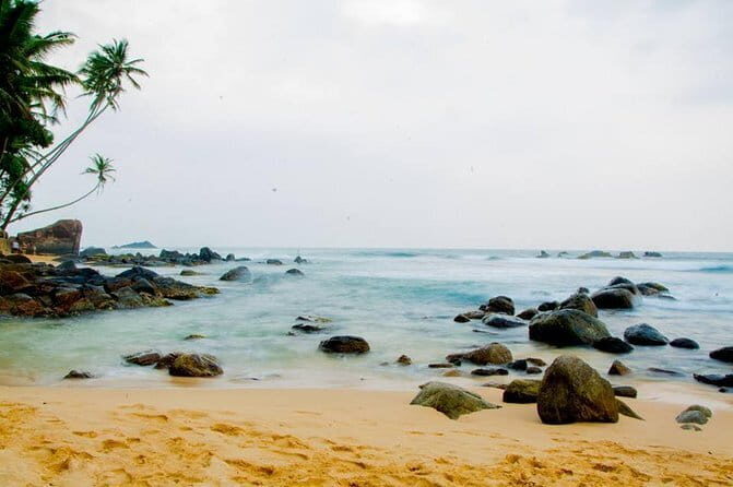 Day Excursion to Historical Galle - Exploring Galle on a Private Day Tour from Colombo: An In-Depth Review