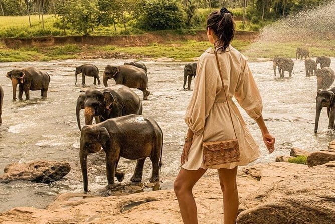 Day Excursion to Historical Sigiriya Rock and Minneriya National park Safari - Who Should Consider This Tour?