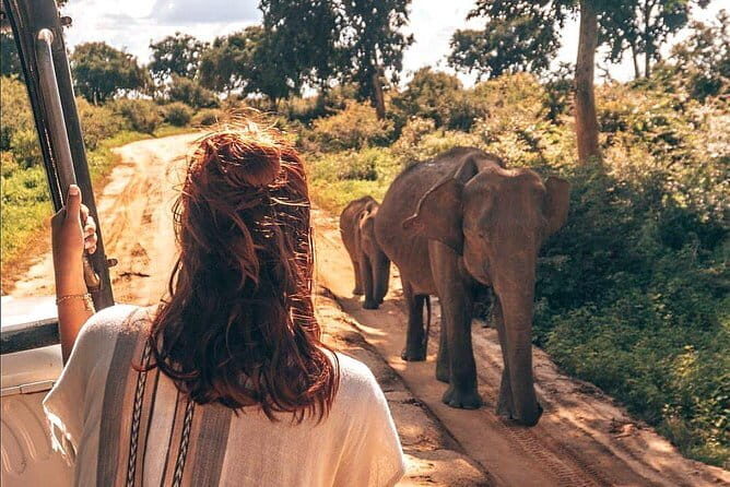 Day Excursion to Udawalawe from Colombo - Key Points