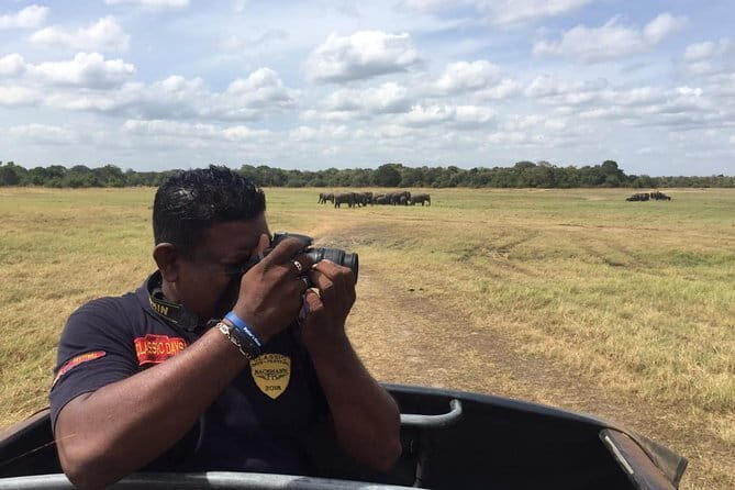 Day Excursion to Udawalawe from Colombo - Final Thoughts: Is This Tour Right for You?