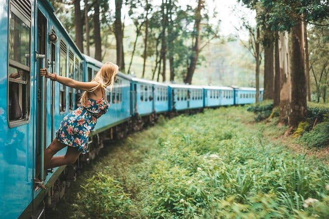 Day Excursions to Horton Plains & Local Train Experience from Ella - Key Points