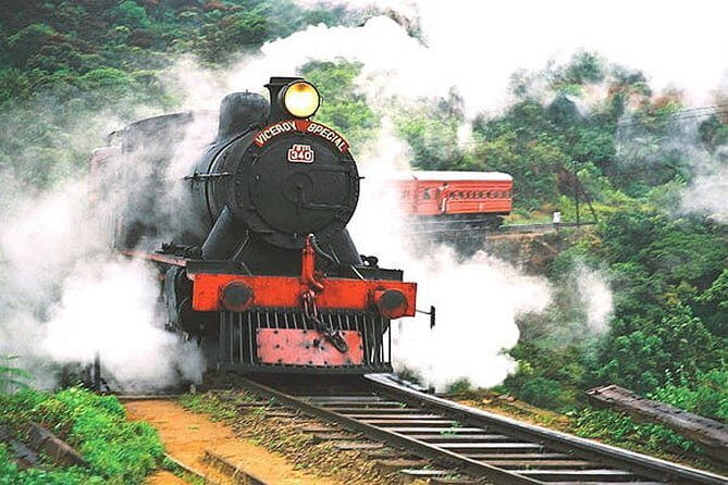 Day Excursions to Horton Plains & Local Train Experience from Ella - Who Should Consider This Tour?