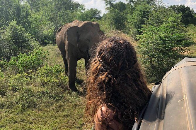Day Excursions to Udawalawe from Bentota - How This Tour Balances Cost and Experience