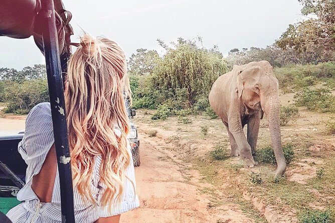Day Excursions to Udawalawe From Wadduwa - Who Should Consider This Tour?